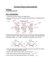 Understanding Functional Groups In Macromolecules Course Hero