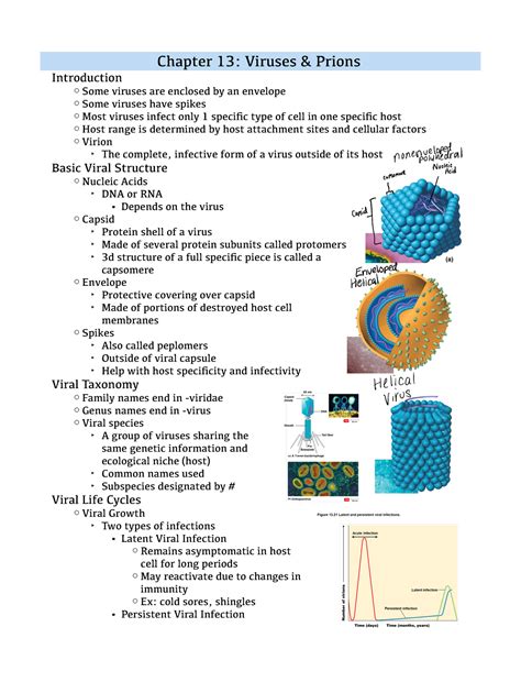 Chapter 13 Notes Chapter 13 Viruses Prions Introduction Some