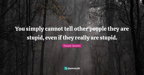 You Simply Cannot Tell Other People They Are Stupid Even If They Real