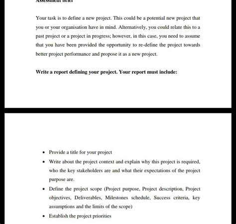 Solved Your Task Is To Define A New Project This Could Be A Chegg Com