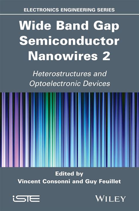 Wide Band Gap Semiconductor Nanowires 2 9781848216877 Gangarams