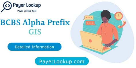 Bcbs Prefix Gis Detailed Information
