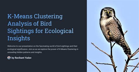 K Means Clustering Analysis Of Bird Sightings For Ecological Insights