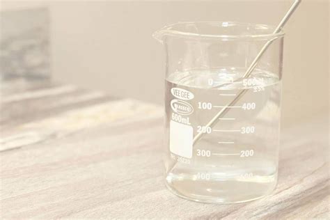Immune Gamma Globulin Therapy Sc Or Iv Ig