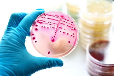 Microbiology
