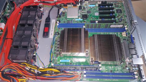 PLEX Dedicated Server UPDATED Builds Gg