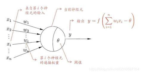 神经网络中的激活函数与偏置项（activation Function And Bias） Csdn博客