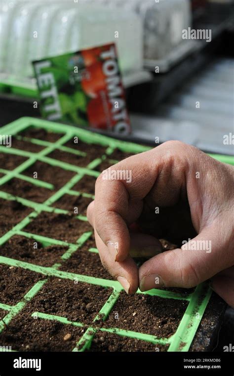 Sowing Seed Modules Hi Res Stock Photography And Images Alamy