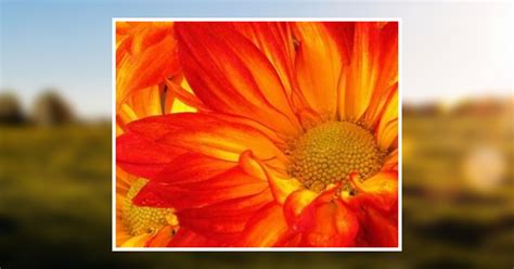 Hazel Wolfe Obituary November 22 2020 Graumlich Funeral Home