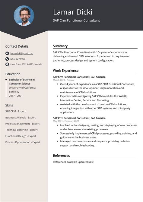 Sap Crm Functional Consultant Resume Examples Template And 20 Tips