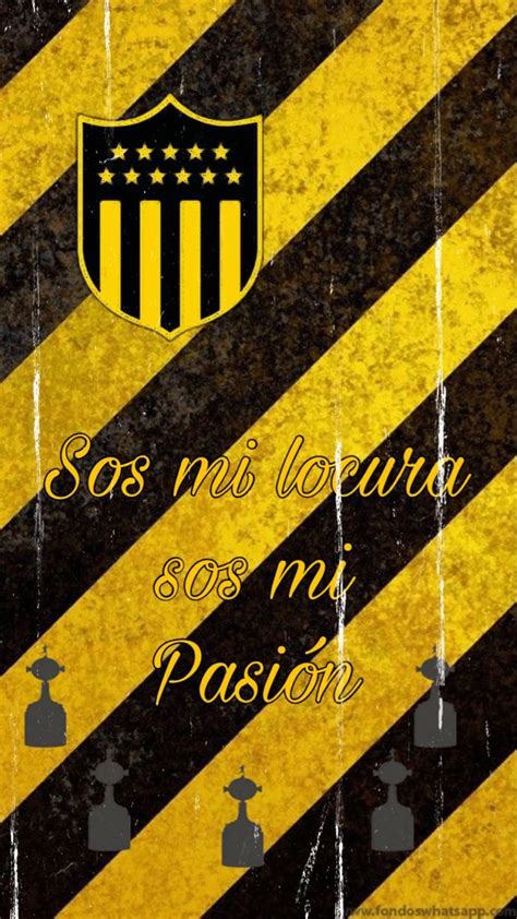 Club Atlético Peñarol Wallpapers Top Free Club Atlético Peñarol