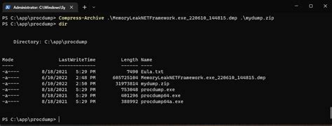Getting Memory Dump Of Net Applications Windowsandlinux Containers On