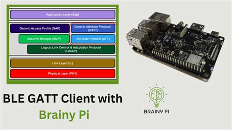Ble Gatt Client With Brainy Pi Brainy Pi