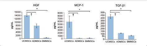 Differences In Cytokine Production Among Umbilical Cord Derived
