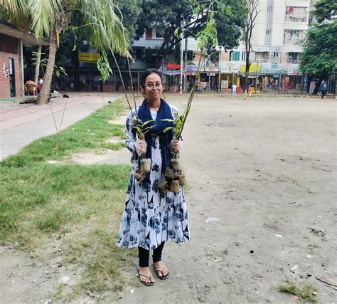 TREE PLANTATION YOUTH HUB