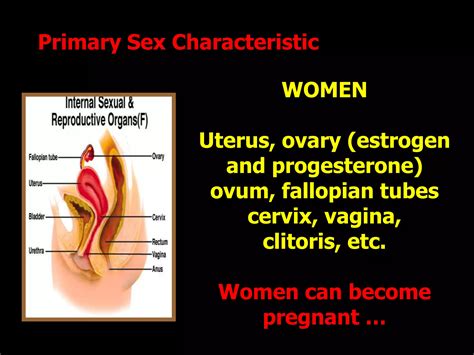 Gender Sensitivity Training Ppt