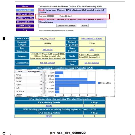 View Of CircInteractome Input And Output Pages A E Xample The