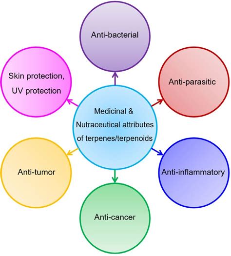 Medicinal And Nutraceutical Applications Of Terpenesterpenoids