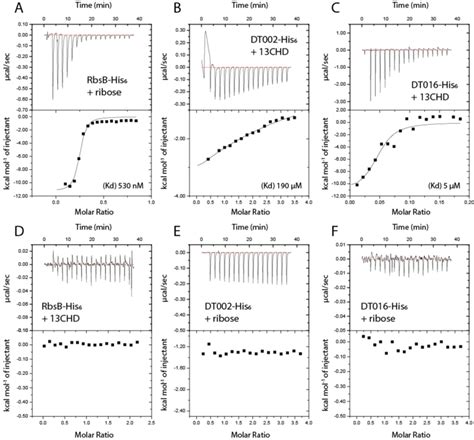 N Vitro Ligand Binding Measurements Using Isothermal Microcalorimetry