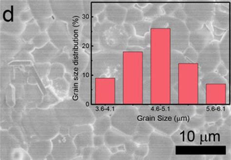 Sem Micrographs Of The Polished And Thermal Etched Surfaces Of The Ba 2