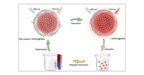 Magnetically Controlled Nanorobots Based On Red Emissive Peptide Dots