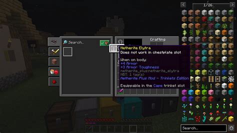 Np V No Flight In Chest Slot No Armor In Trinkets Cape Slot Issue