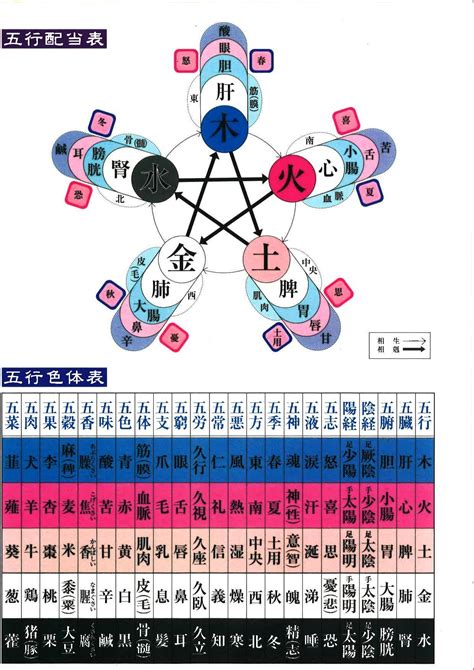 Ⅺ五臓と体液との関係① 自然の仕組み