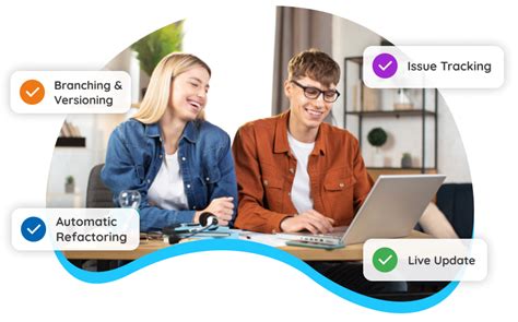 Collaboration And Workflow Instant Developer
