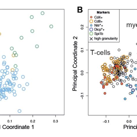 Low Dimensionality Projection Of Single Cell Rna Seq Data From Download Scientific Diagram