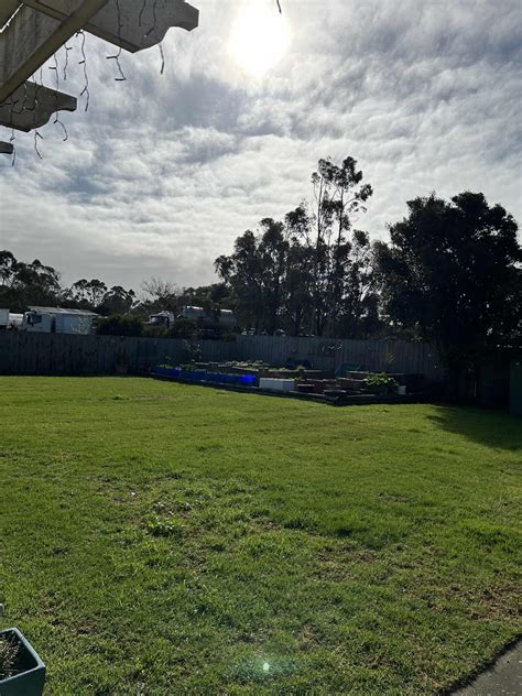 The Aussie Empty Nester Mother Nature Gone Wild