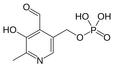 Pyridoxal Phosphate Wikidoc
