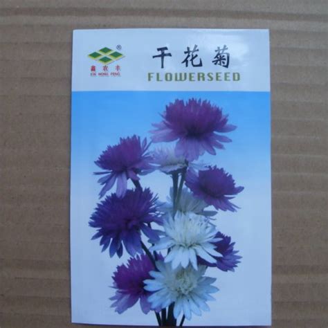 鑫农丰正品包装原装草花种子 干花菊种子 50粒15元袋鑫农丰永赐专卖店