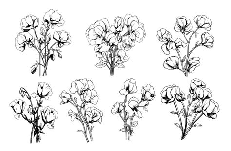 Wild Flowers Frame In Boho Style Sketch Hand Drawn