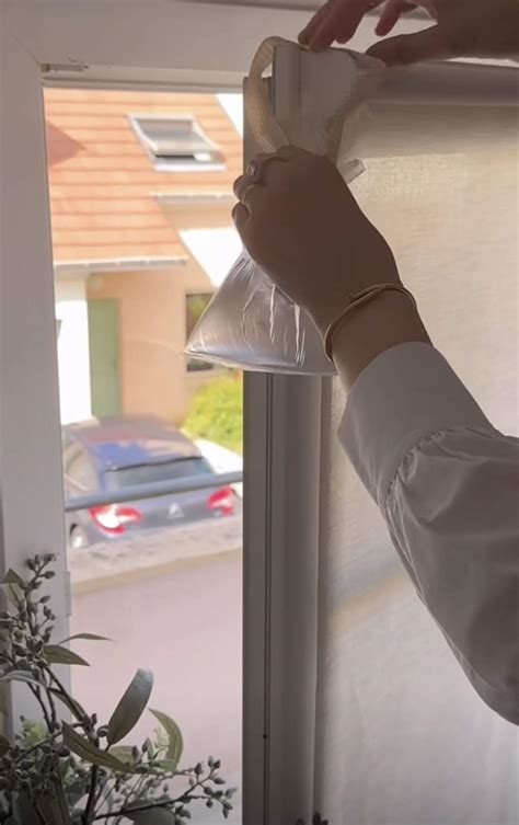 De Ce Să Atârni O Pungă De Plastic Cu Apă și O Bilă De Folie De