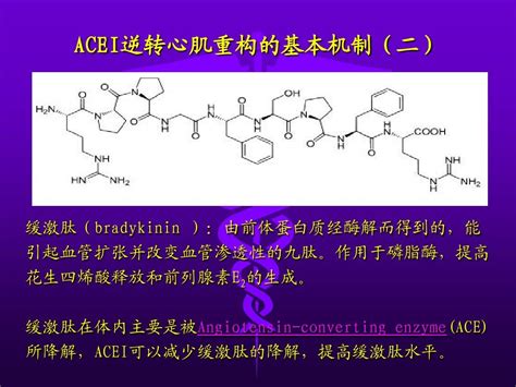 Acei Word