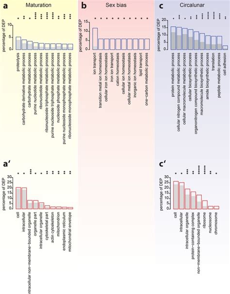 Figures And Data In Combined Transcriptome And Proteome Profiling Reveals Specific Molecular