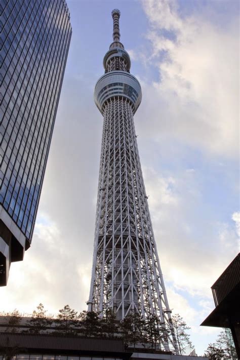 天空树晴空塔 晴空塔 天空树 第13页 大山谷图库