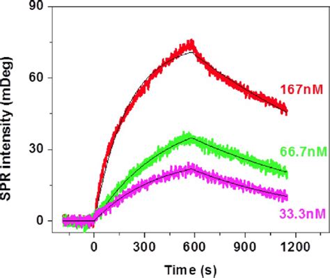 Conventional Flow Through Spr Kinetic Measurement Results Sensorgrams