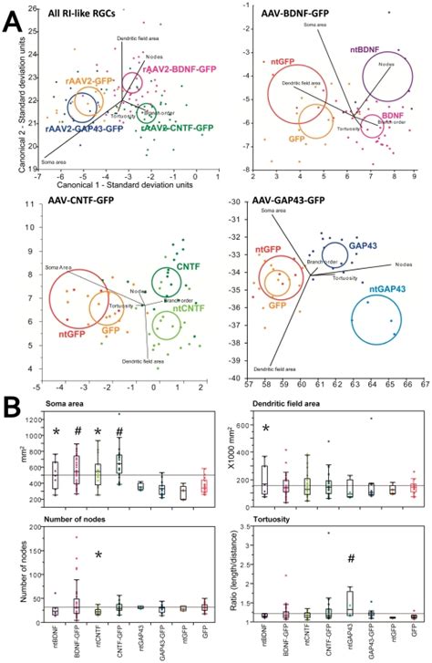 A Plots Showing Canonical Scores 1 X Axis And 2 Y Axis From