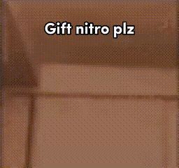 Discord Nitro GIF Discord Nitro Please Discover Share GIFs