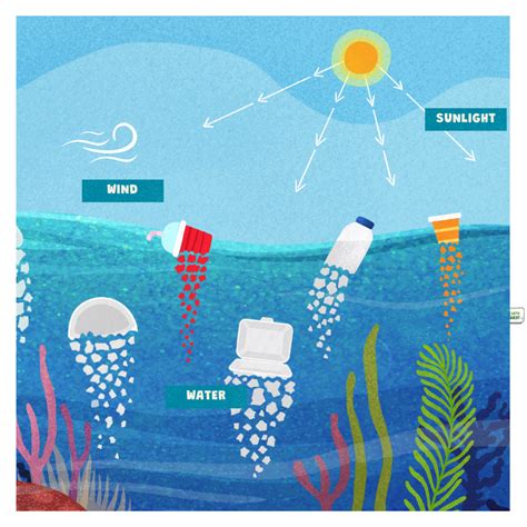 What Are Single Use Plastics My Earth Quest