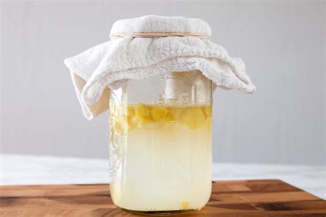 Ginger Bug Recipe Chef Olu