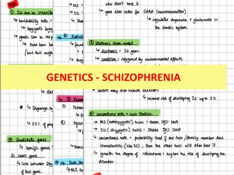 Genetic Explanation For Schizophrenia Teaching Resources