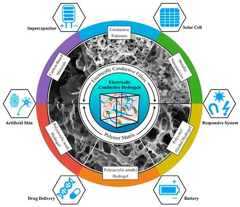Hydrogels Based On Supramolecular Strategies Encyclopedia Mdpi