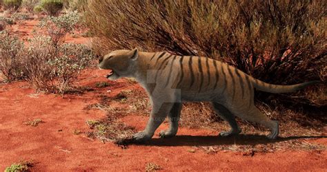 Thylacoleo Carnifex By Leogon On Deviantart