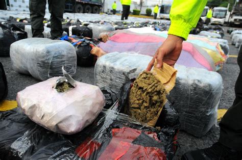 ¿cómo Va La Incautación De Drogas En Cali Y El Valle Estas Son Las