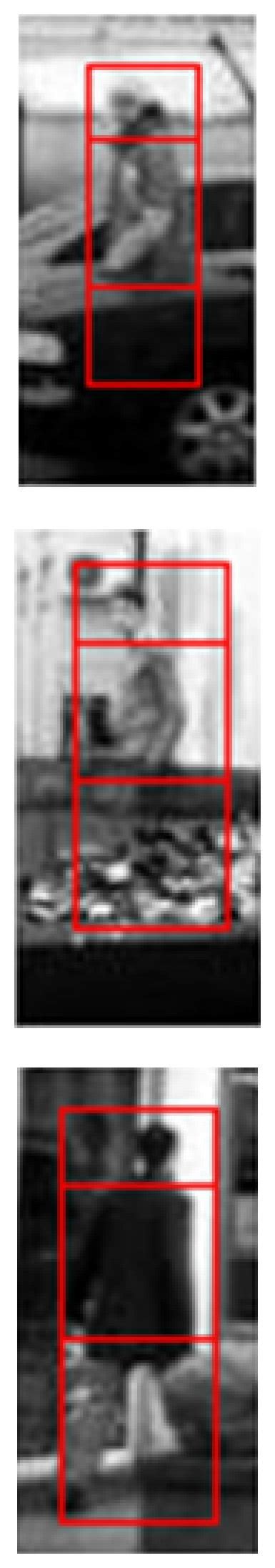 The Recognizing Results Of Different Algorithms On Pedestrian Database Download Scientific