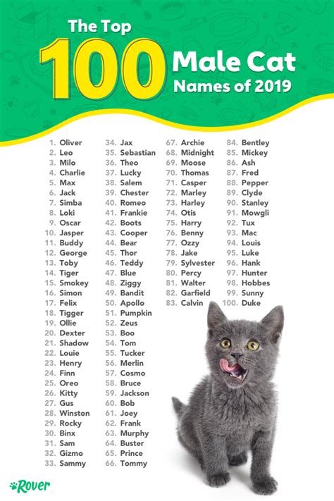 Really Cool Names For Cats