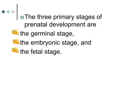 Prenatal Developmentppt