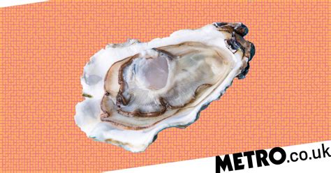 What Is The Viennese Oyster Sex Position Love Islands Luca Bish Loves